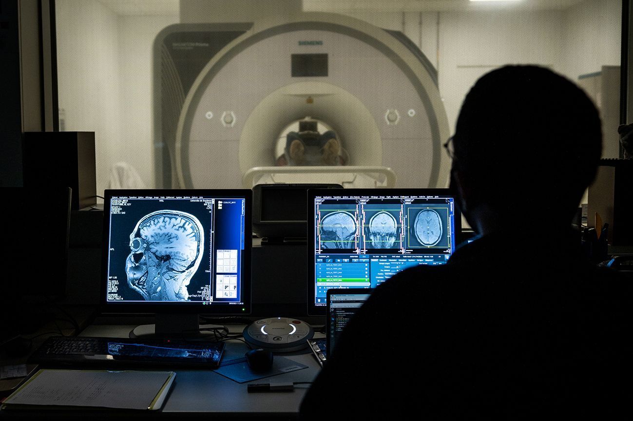 Neurocampus PhD program: 2026 call for applications